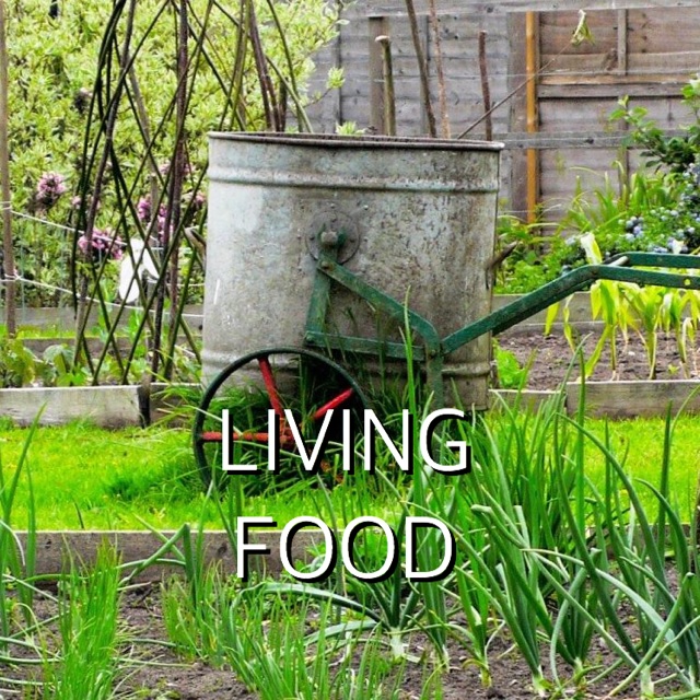 Home [www.sustainabledevizes.org.uk]